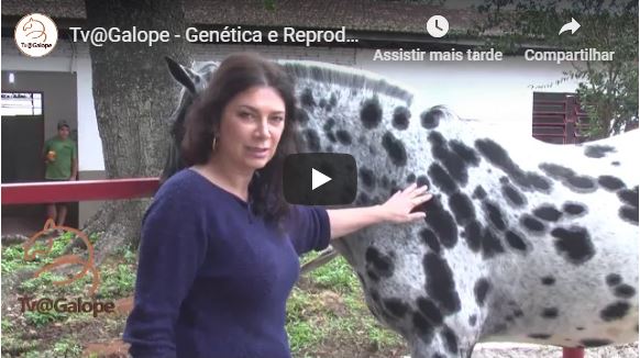 Genética e Reprodução Equina e suas pelagens - TV@Galope